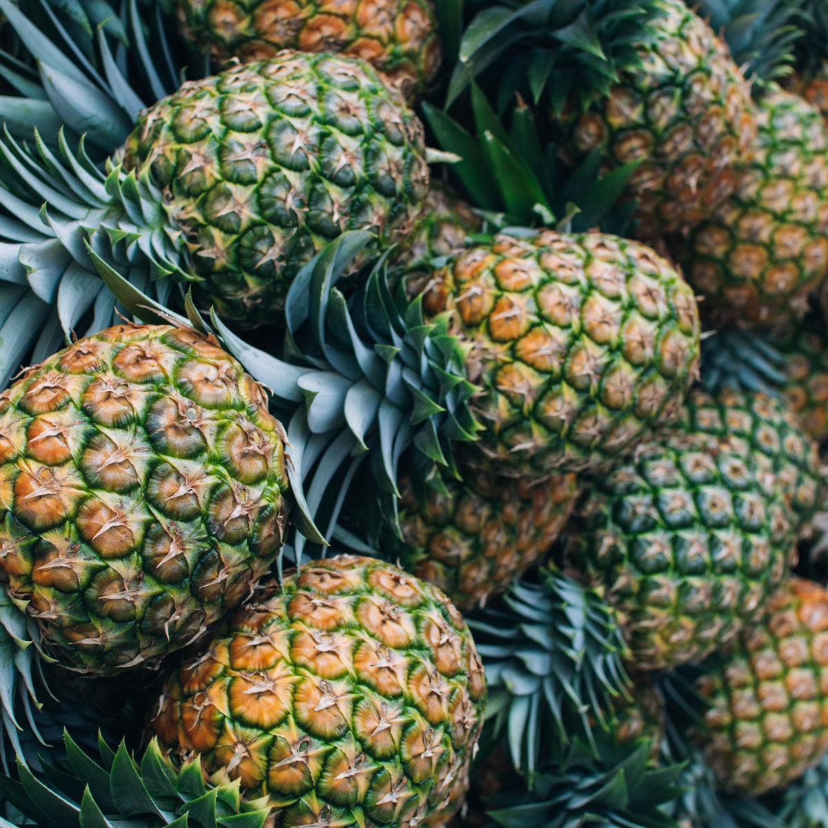 Fresh Organic Fruit Delivery Online - FreshBox Organics – FreshBox ...