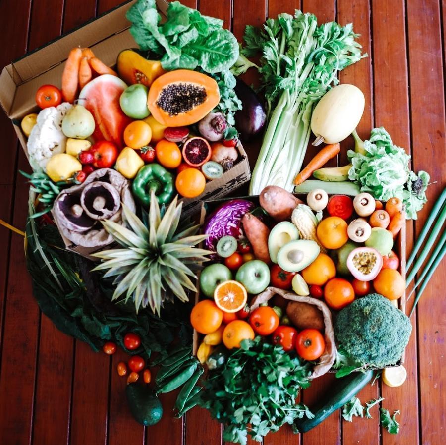 Fresh Veggies Online Order Local Vegetable - FreshBox – FreshBox ...